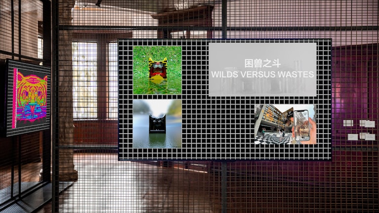 Prada announces the winners of the ‘Action in the Year of the Tiger ...