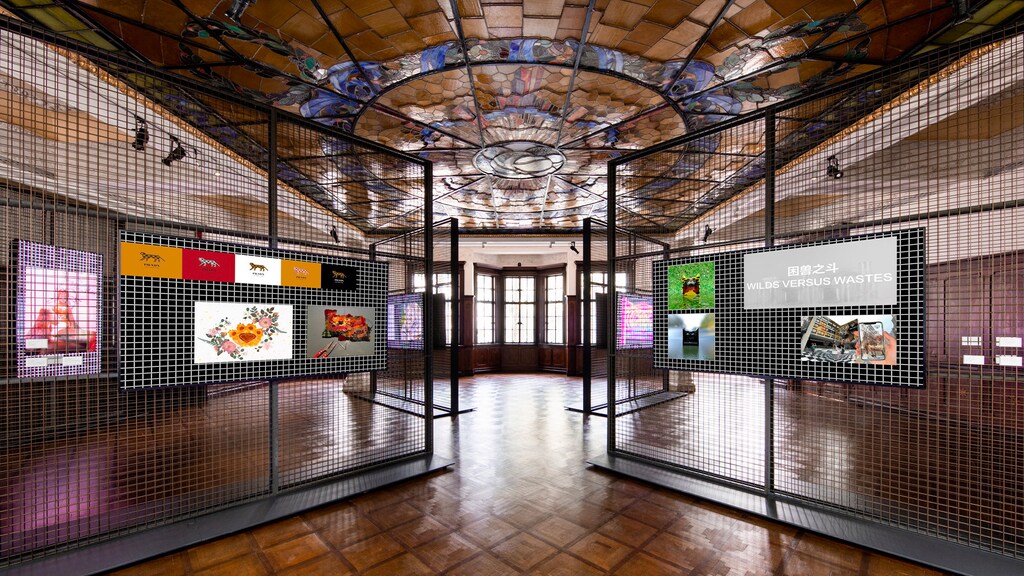 Prada announces the winners of the ‘Action in the Year of the Tiger ...