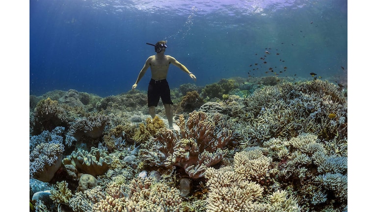 Prada Re-Nylon in collaboration with National Geographic Creative Works