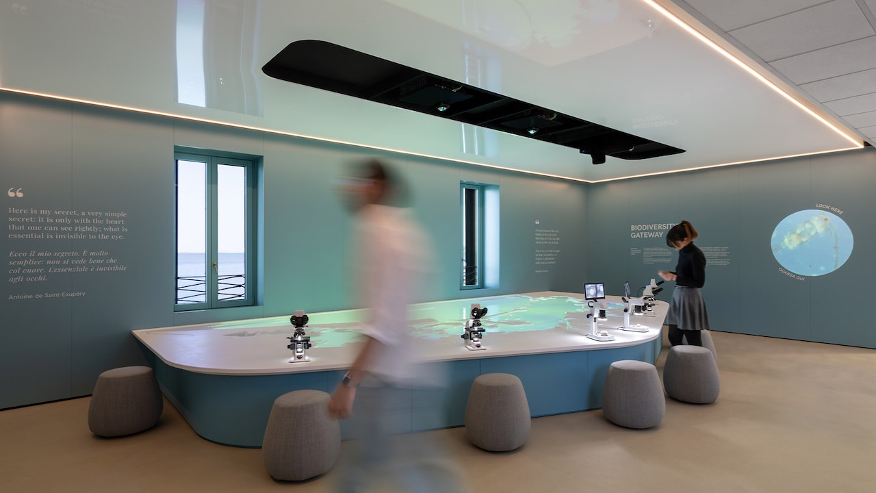 SEA BEYOND Ocean Literacy Centre in Venice