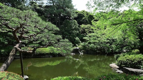 Prada Mode Tokyo: a Special Project by Prada Group | Prada Group