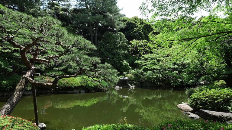 Prada Mode Tokyo: a Special Project by Prada Group | Prada Group