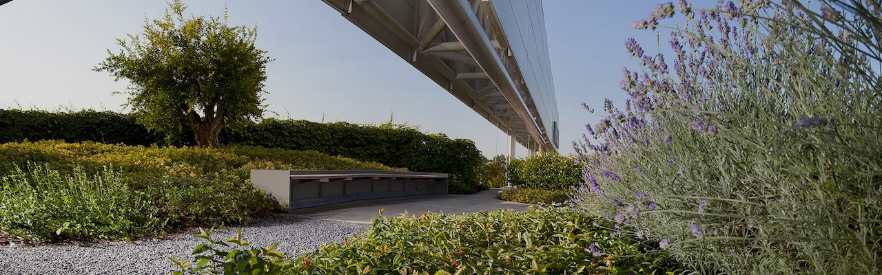 Preserve the Ecosystem: the Raw Materials