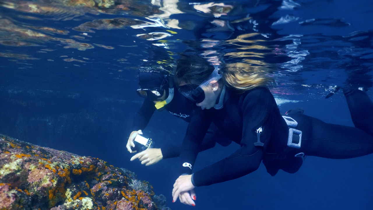 The Sea Beyond Documentary "Il Bianco Nel Blu"